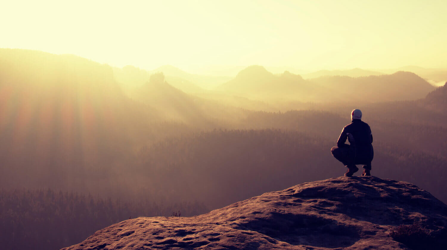 Home - Falcon Wisdom Foundation